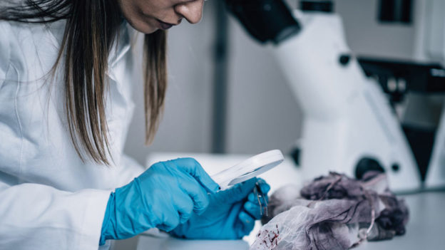 Kenali Jurusan Kedokteran Forensik di Sini!