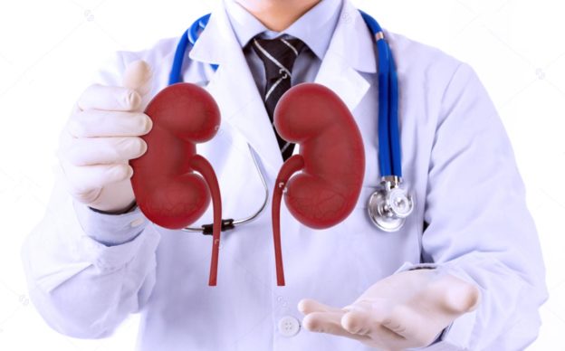 Mengenal Dokter Urologi dan Apa Saja Penyakit yang Ditangani - Bimbel ...