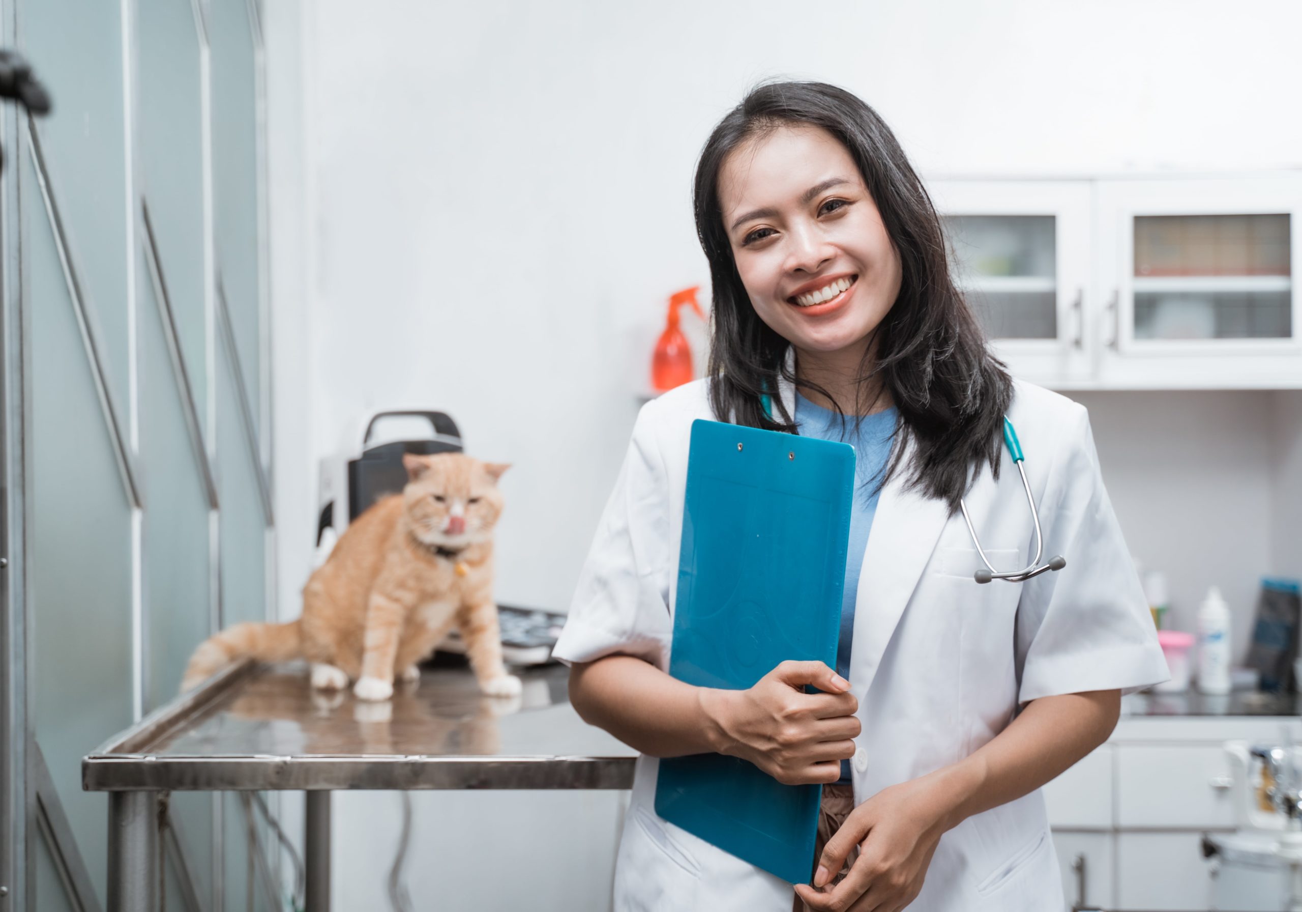 Mau Masuk Kedokterah Hewan? Ini 7 Fakta Dokter Hewan yang Harus Kamu ...